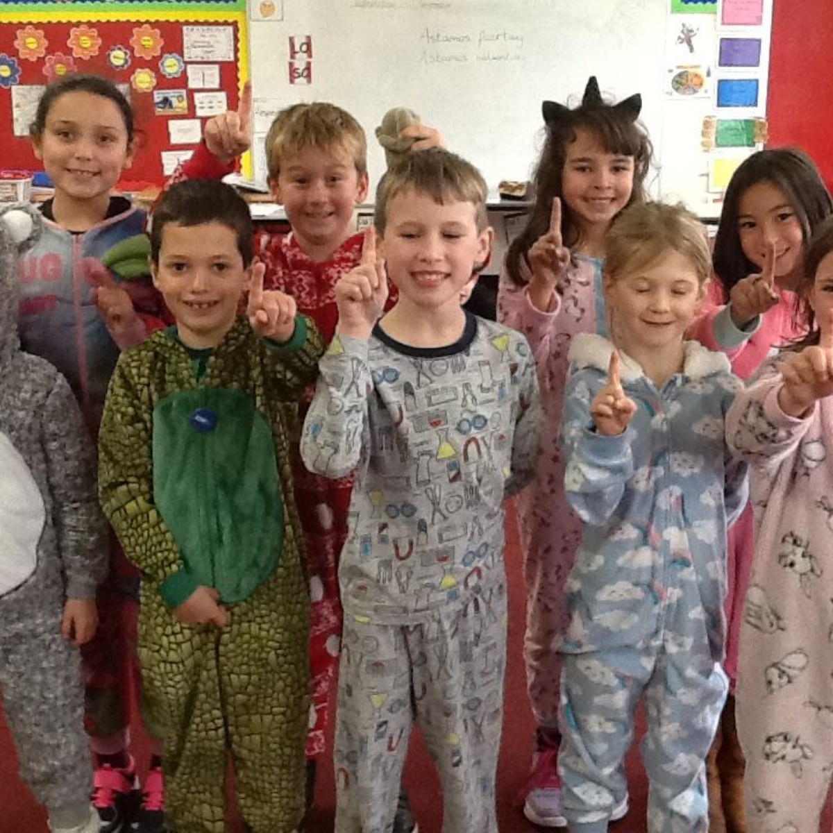 Fairfield Primary School - Type Onesie Day